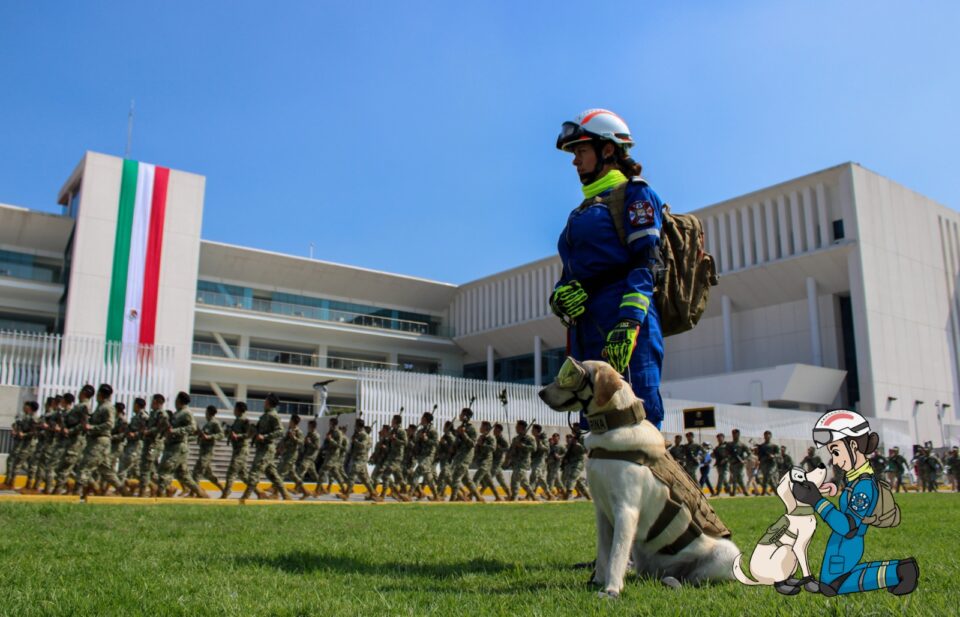 Conoce a Maya, la nueva perrita rescatista de la SEMAR - 4C News